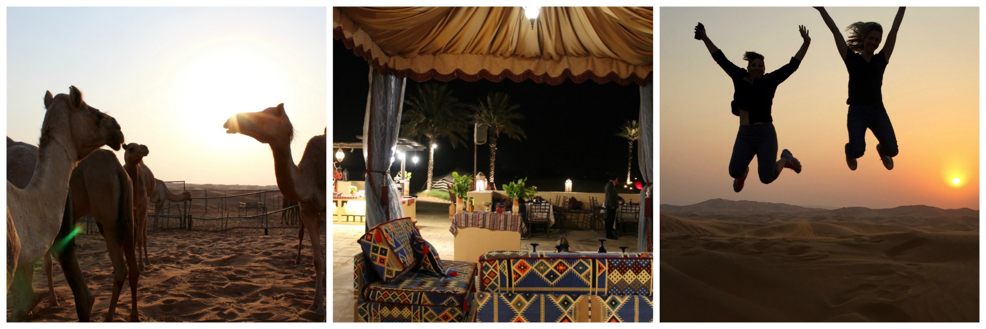Desert Collage | WOW! Travel Small Group Travel